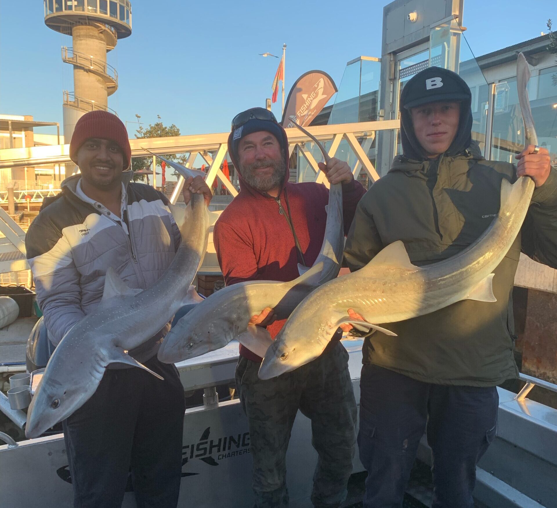 Gummy Shark Charter - Gone Fishing Charters
